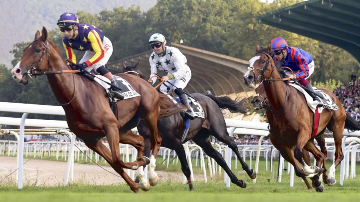 Philippo sorprende en la Copa de Oro de San Sebastián