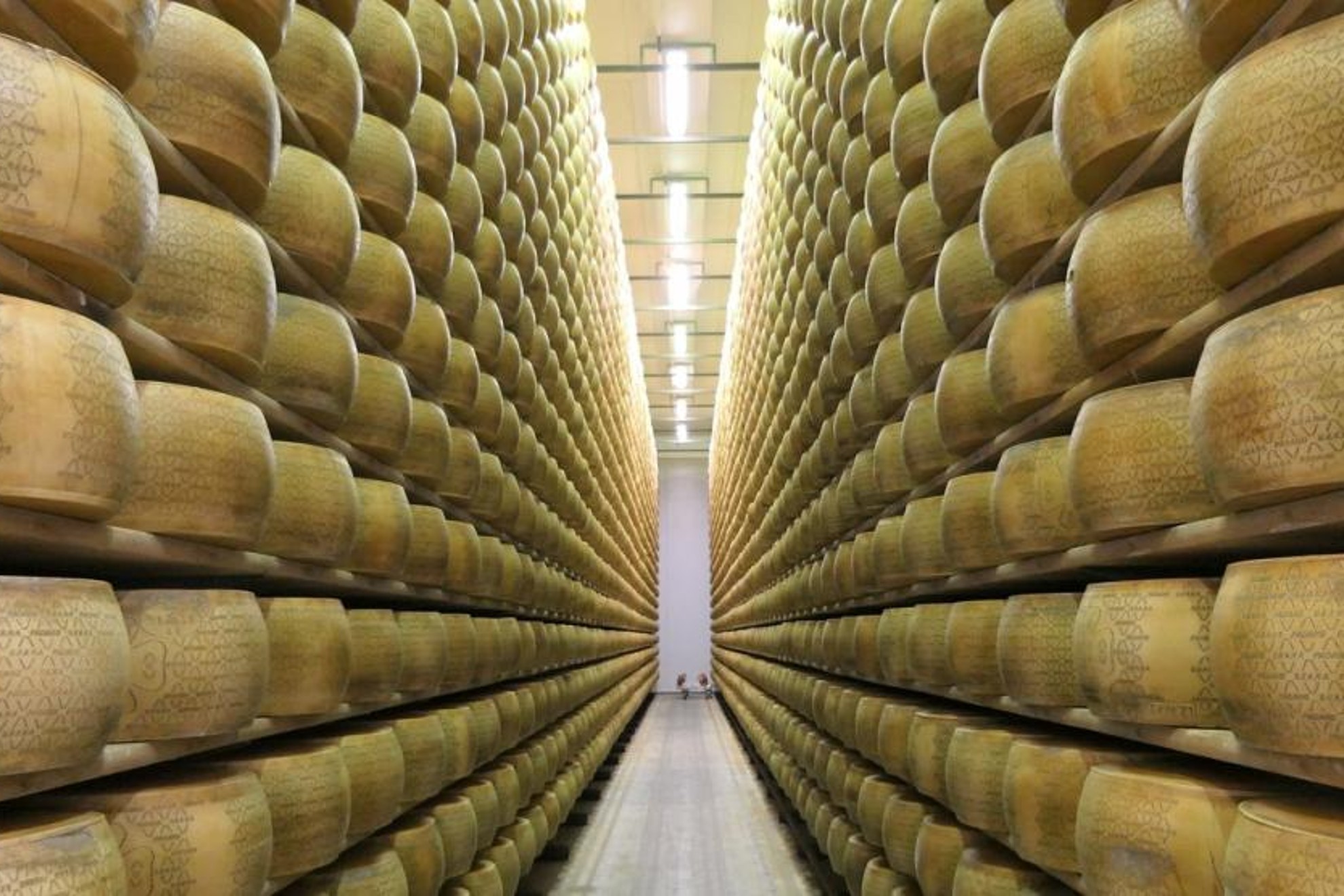 Muere un empresario de 74 años sepultado por 25.000 quesos de Grana Padano que se le cayeron ...