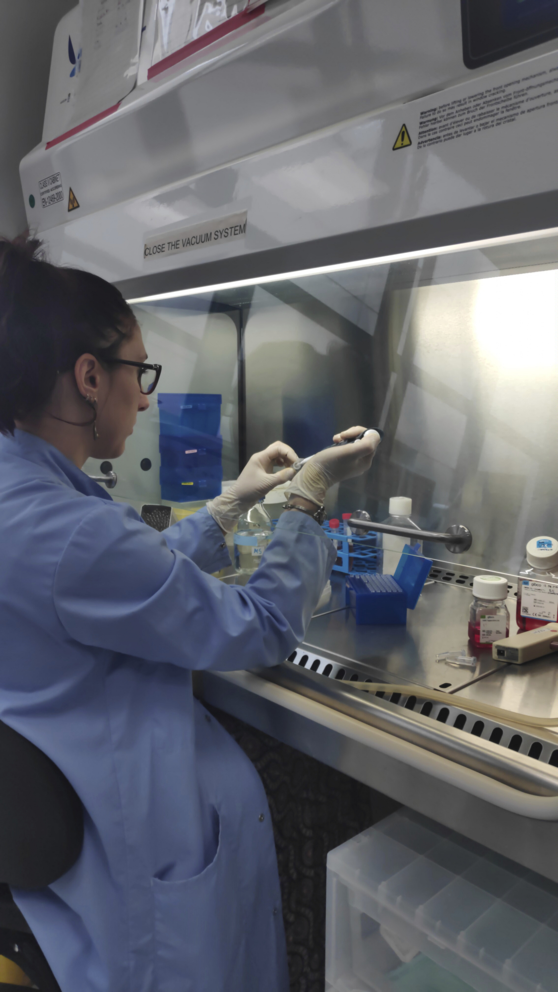 Isabel Calvo, una doctora en la jaula: del 'cum laude' en su tesis a ...