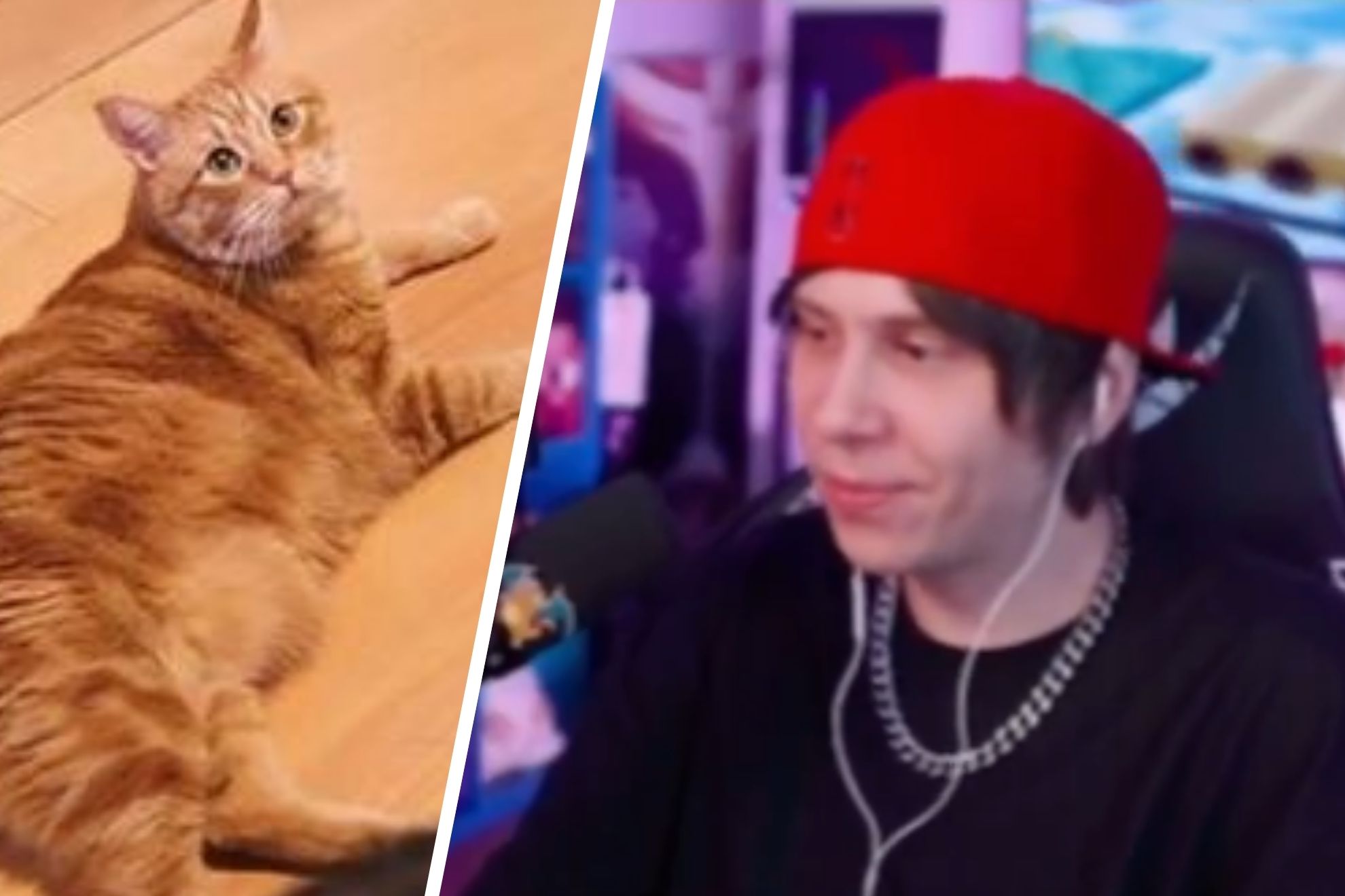 La alegría de Rubius al enterarse de que su gato Wilson es más joven de ...