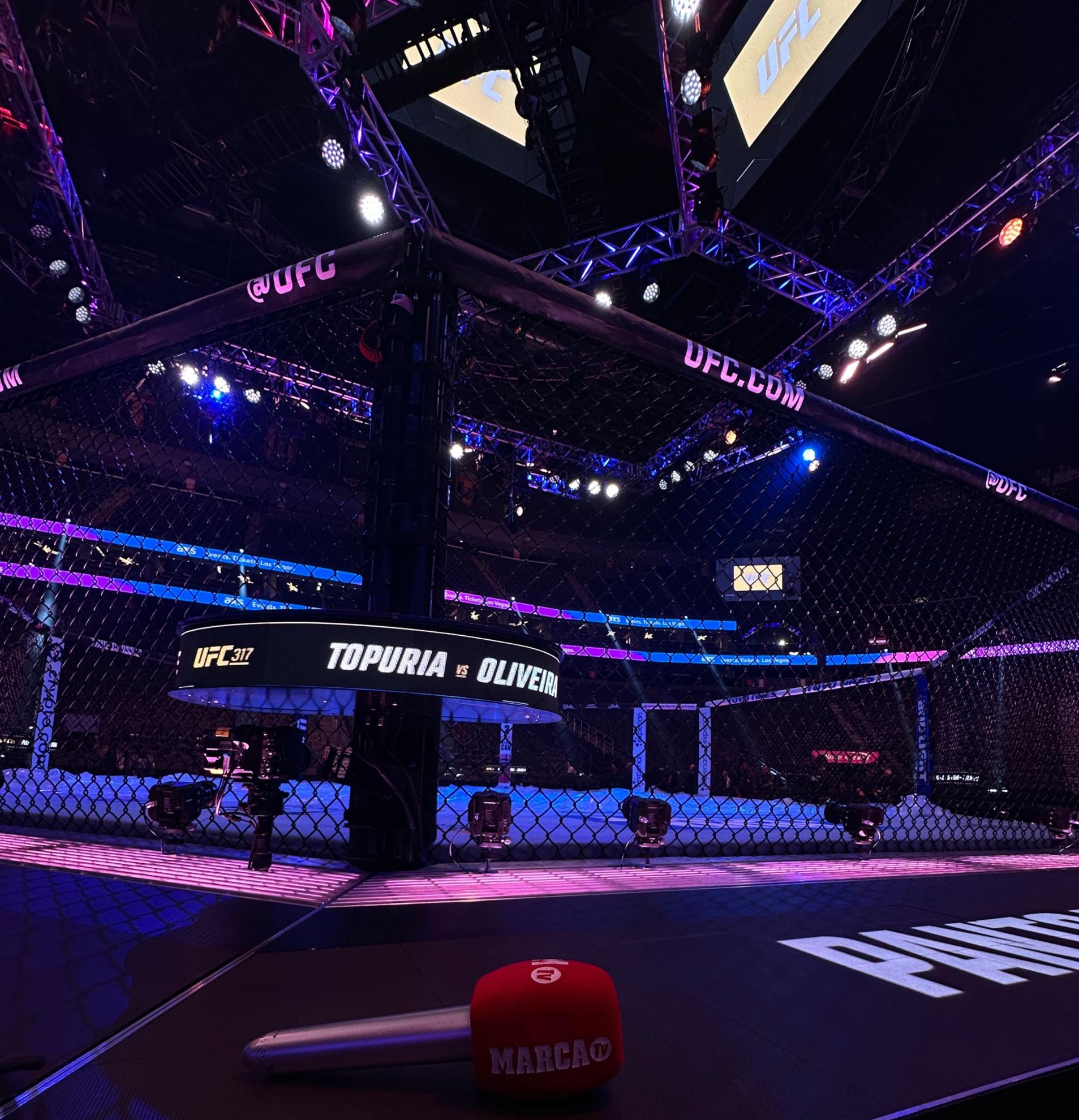 El UFC 317, en imágenes: Topuria noquea a Oliveira y se convierte en ...