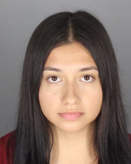 Una profesora de 26 años, detenida por mantener relaciones sexuales con ...