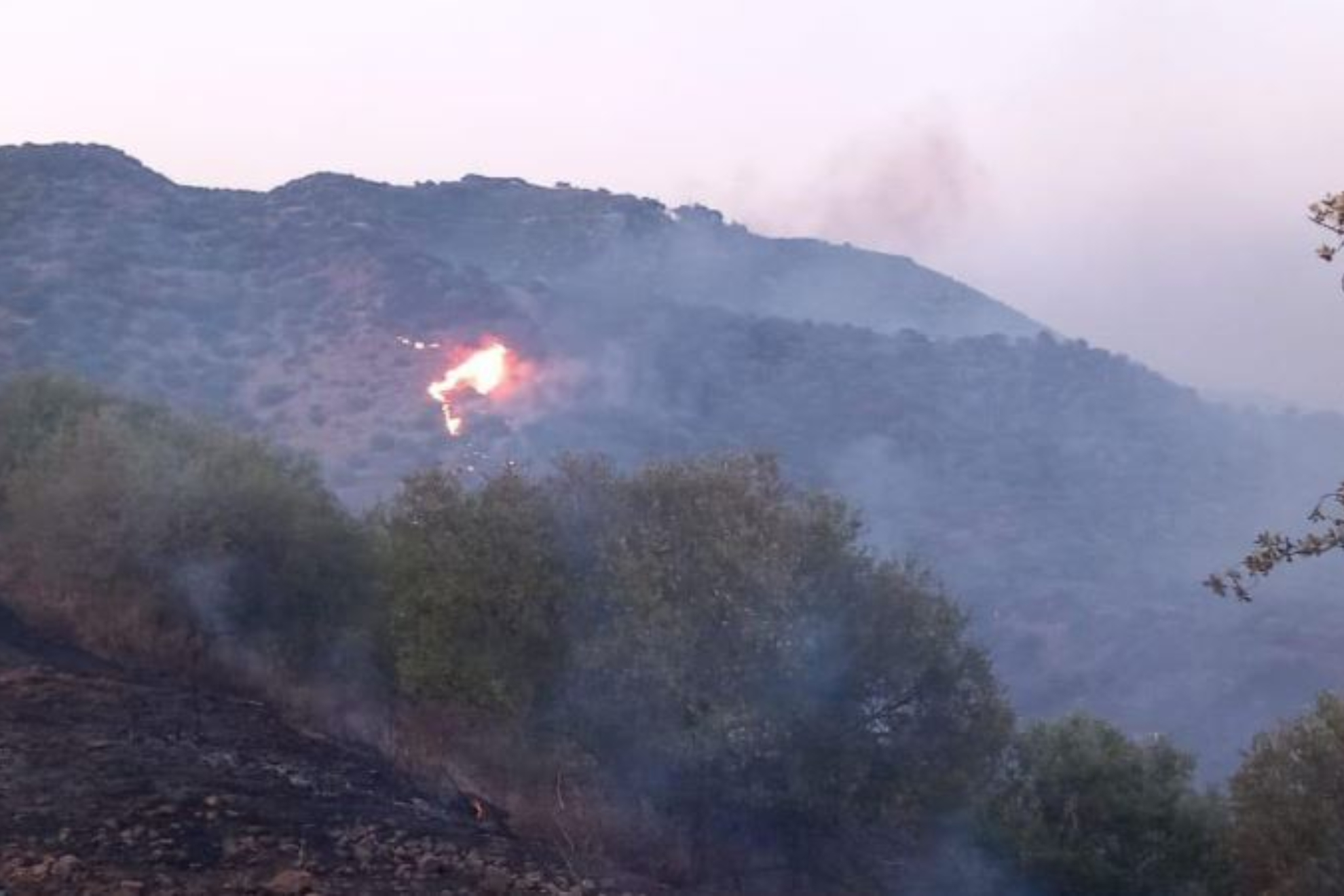 El incendio forestal en Córdoba se reactiva: 300 desalojados y el fuego ...