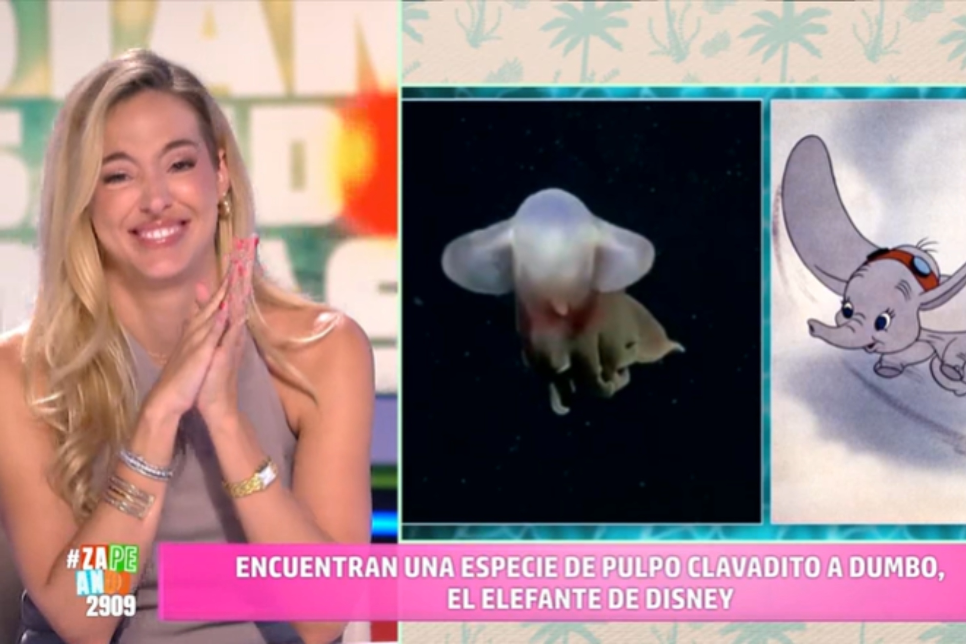 Isabel Forner, incrédula: "Que los tiburones hayan sido antes que los ...