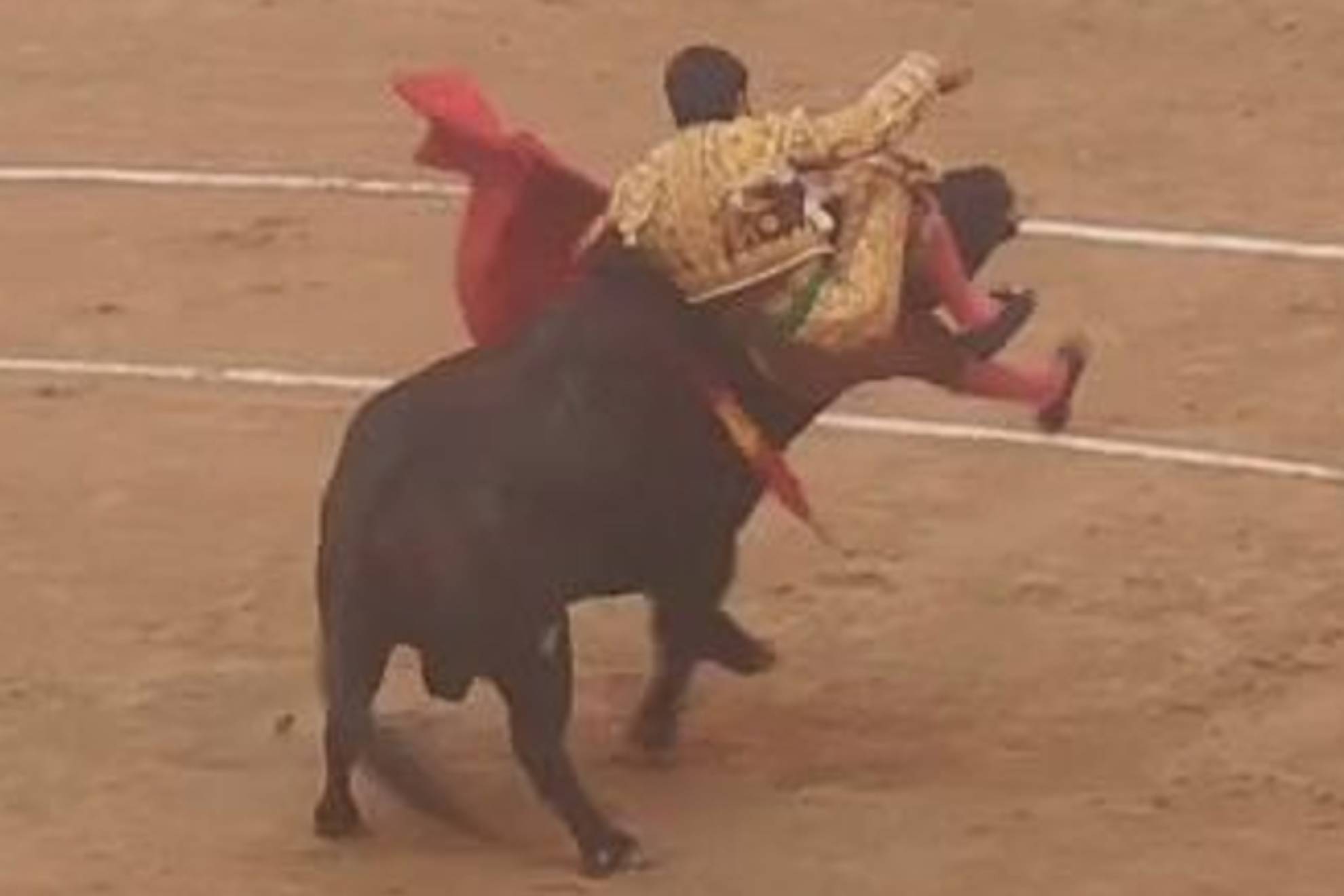 Morante de la Puebla sufre una "extensa" y grave cornada de doble trayectoria en Pontevedra