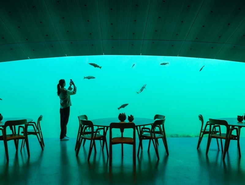 Bajo el mar: el impresionante restaurante submarino ubicado en Noruega ...