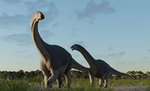 Un grupo de investigadores españoles descubre un ámbar con restos de ...