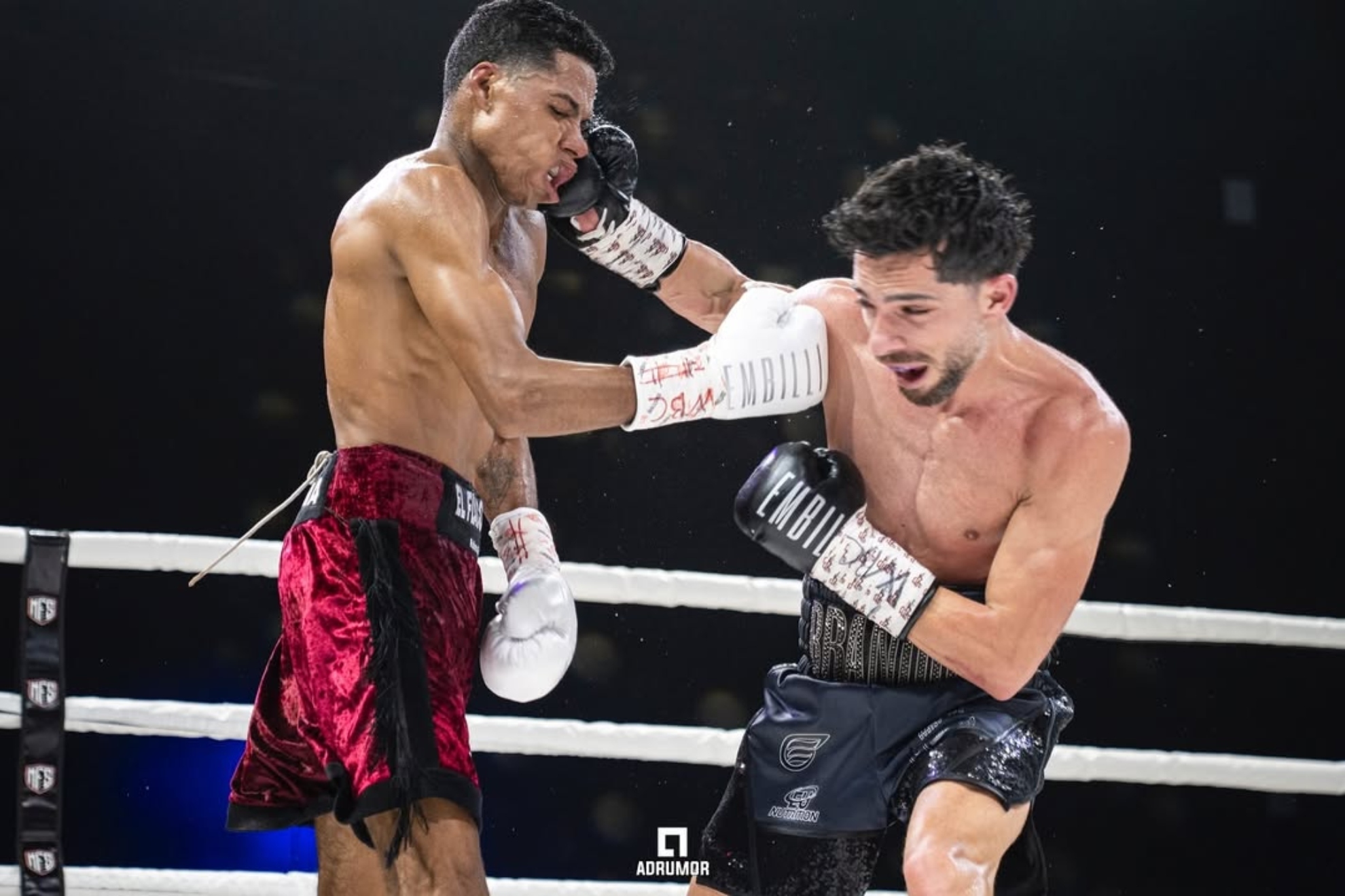 Boxeo - Últimas noticias de los boxeadores del momento
