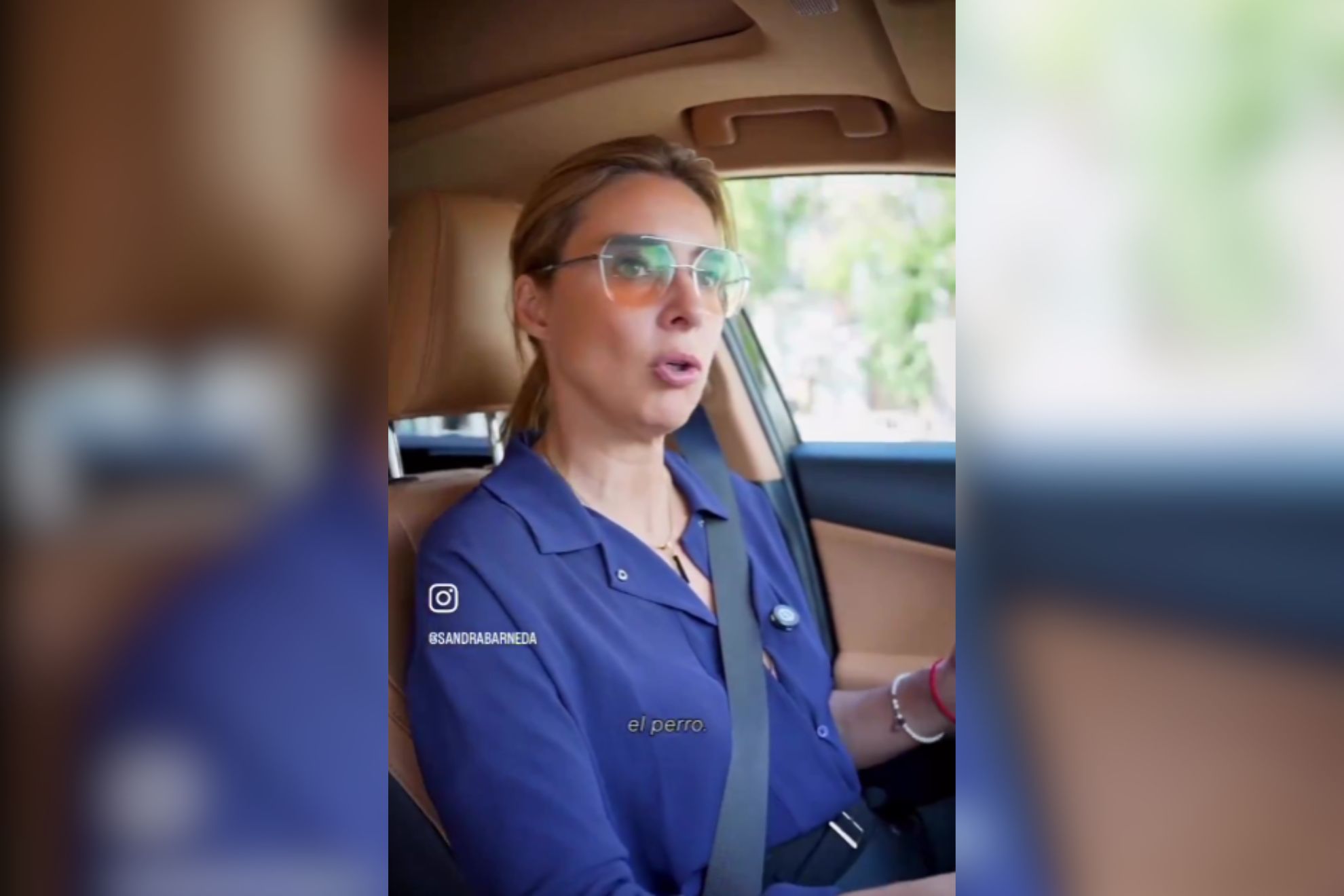 Sandra Barneda - Últimas noticias de Sandra Barneda