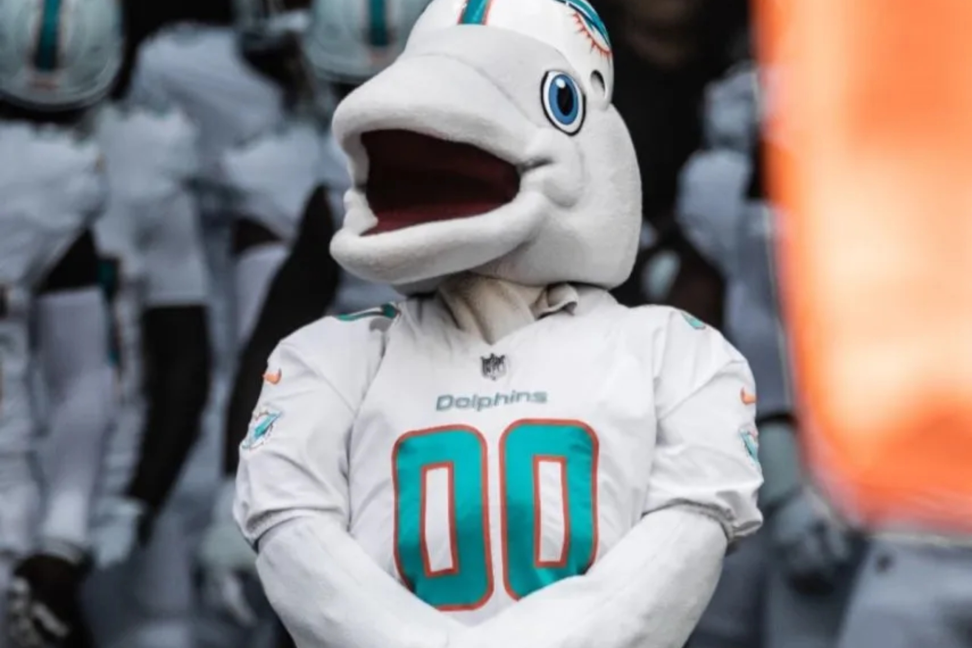 This is TD, the Miami Dolphins mascot that originated in the 1990s | Marca